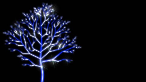 13 Tree xray Stock Video Footage - 4K and HD Video Clips | Shutterstock