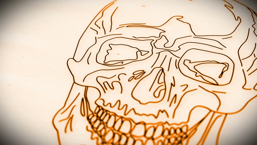human skull structure animation illustration shallow Stock Footage ...