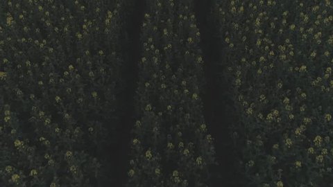 87 Non color graded Stock Video Footage - 4K and HD Video Clips ...