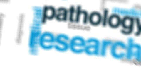 Pathology Animated Word Cloud Text Design Stock Footage Video (100% ...