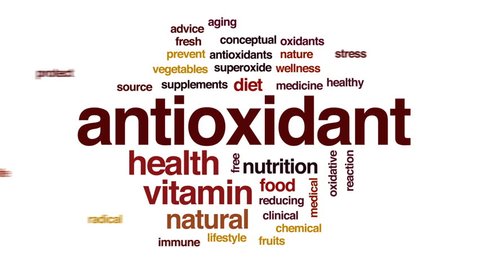 Antioxidant Animated Word Cloud Text Design Stock Footage Video (100% ...
