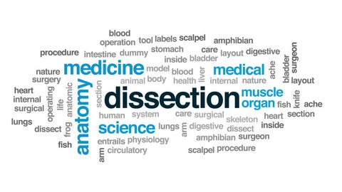 Dissection Animated Word Cloud Text Design Stock Footage Video (100% ...
