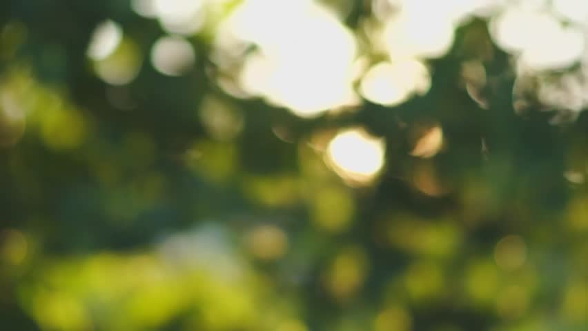 beautiful out focus sunset sun shine Stock Footage Video (100% Royalty ...