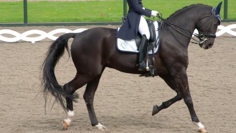 Beautiful Galloping Black Horse Rider Traditional Stock Footage Video ...