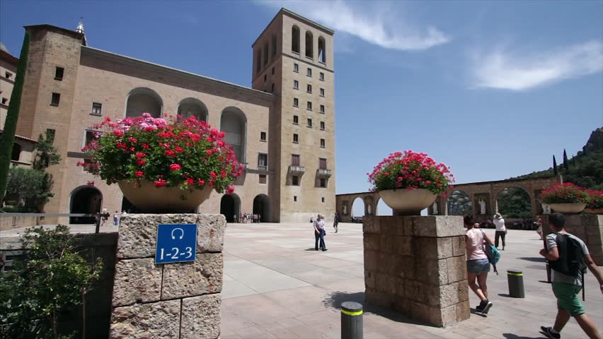 8 Montserrat flowers Stock Video Footage - 4K and HD Video Clips ...