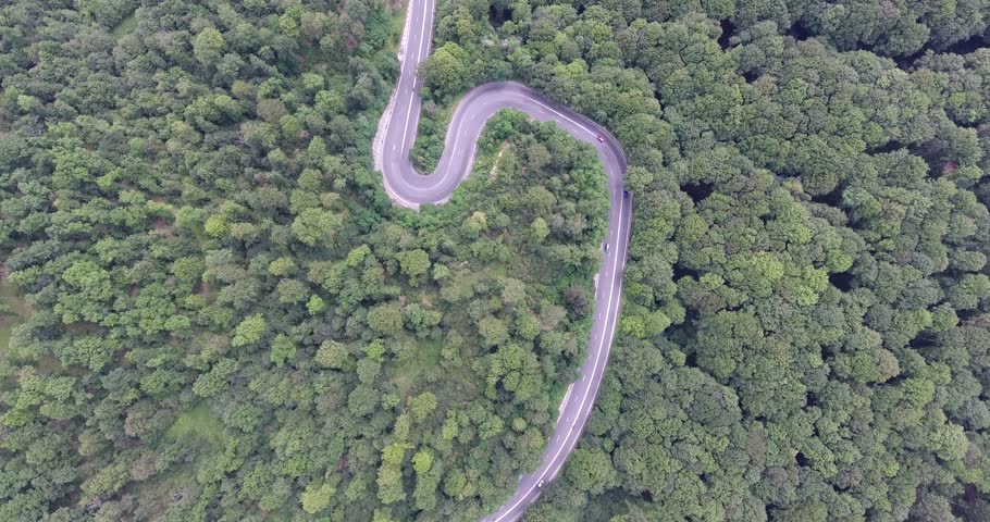 mountain curved road forest Stock Footage Video (100% Royalty-free ...