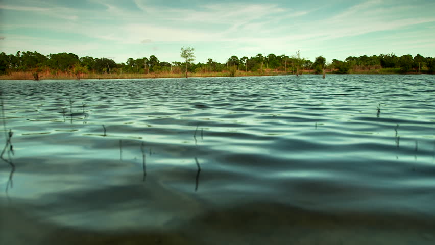 Fresh Lake Water Stream Current Stock Footage Video (100% Royalty-free ...