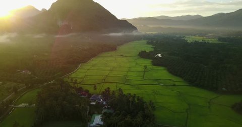 Aerial View Top Mount Pulai Moving Stock Footage Video (100% Royalty ...