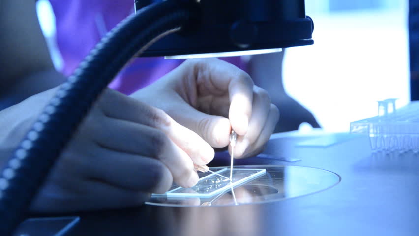 Science Biotechnology Experiment, Scientist Dissect Stock Footage Video ...