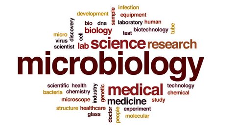 Microbiology Animated Word Cloud Text Design Stock Footage Video (100% ...