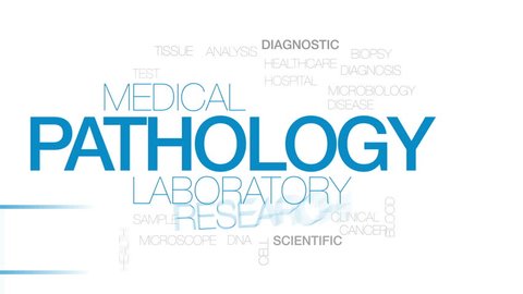 Polygraph Animated Word Cloud Text Design Stock Footage Video (100% ...