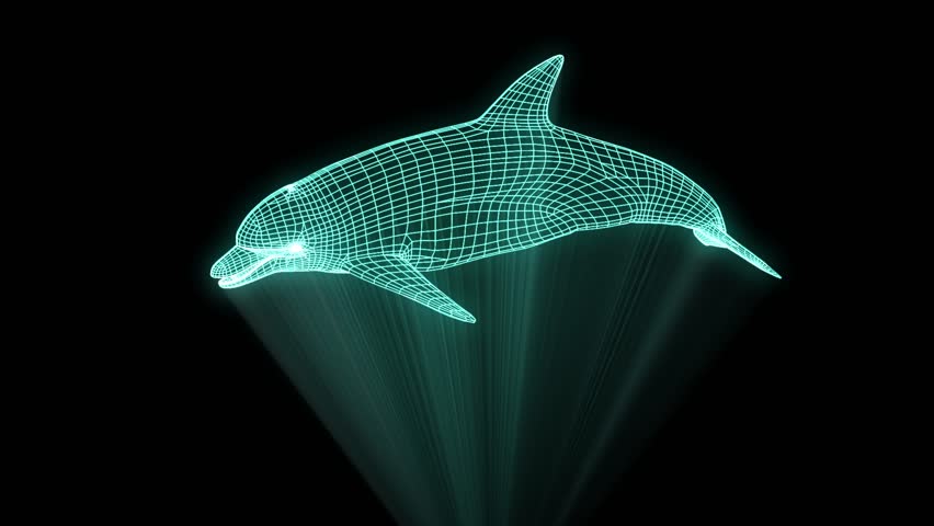 dolphin hologram wireframe style nice 3d Stock Footage Video (100% ...