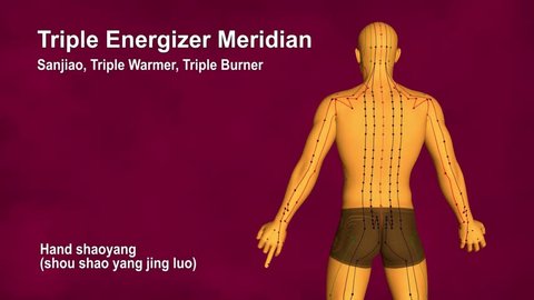Triple Energizer Meridian Video 3d Illustration Stock Footage Video ...