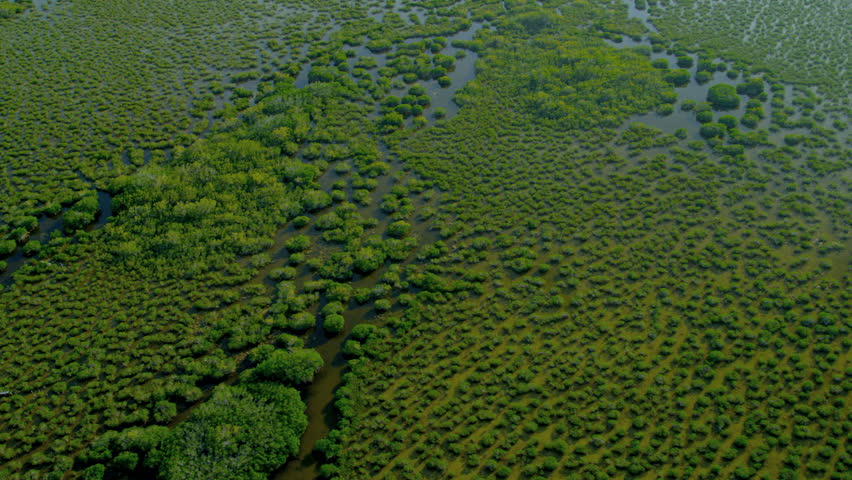 Florida Bay at Everglades National Park, Florida image - Free stock ...