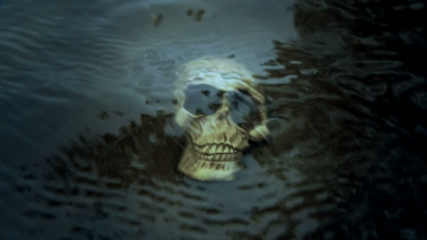 Skull On the Seashore, the Stock Footage Video (100% Royalty-free ...