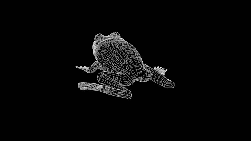 Frog in Hologram Wireframe Style. Stock Footage Video (100% Royalty ...