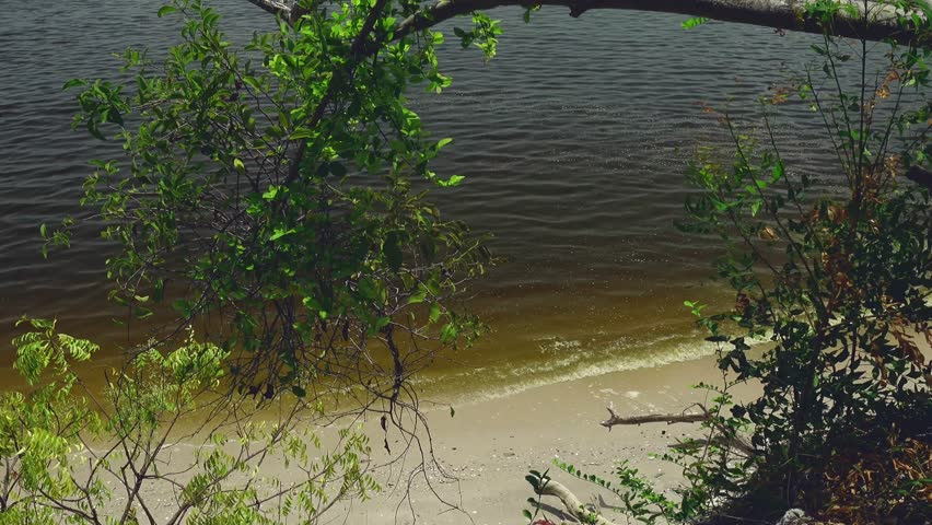 Map Ta Phut Industrail Estate Rayong: วิดีโอสต็อก (ปลอดค่าลิขสิทธิ์ 100 ...