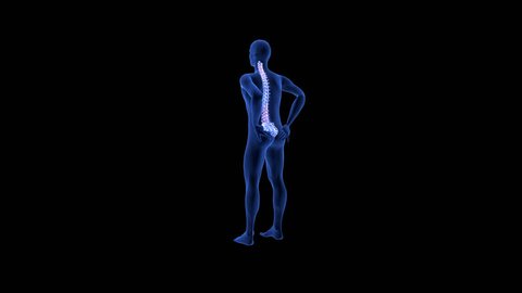 transparent male female body medical animation Stock Footage Video (100 ...
