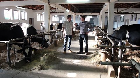 Two Farmers Having Conversation Barn Discussing Stock Footage Video ...