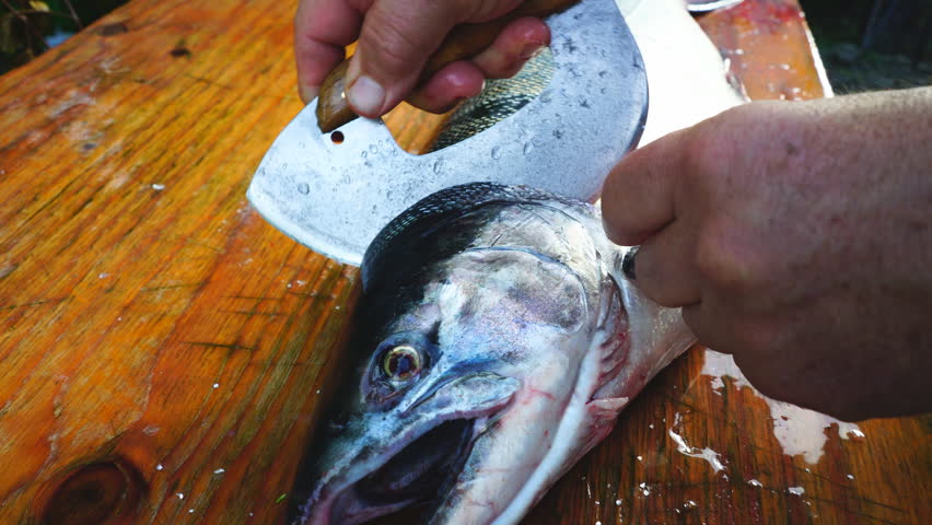 inuit ulu knife being used clean Stock Footage Video (100% Royalty-free ...