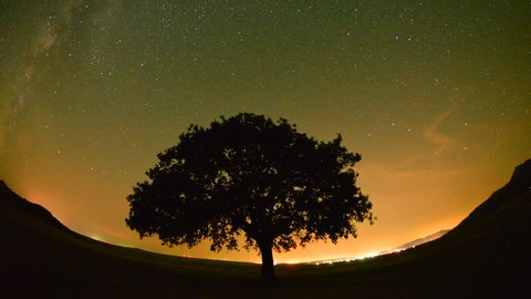 old oak trees milky way Stock Footage Video (100% Royalty-free) 2800843 ...