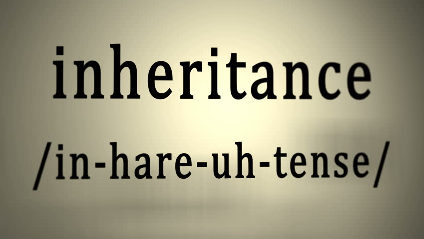 MATRILINEAL Footage, Videos and Clips in HD and 4K - Avopix.com