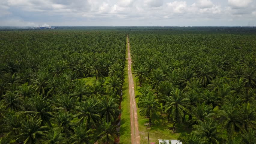 Motorcycle Trace Stock Video Footage - 4K and HD Video Clips | Shutterstock