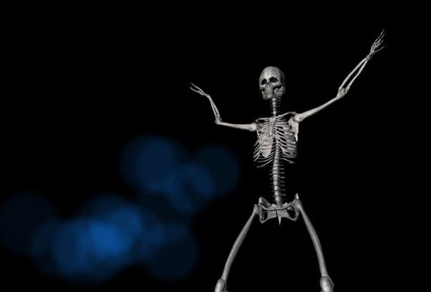 We Salute You Human Skeleton Welcomes Stock Illustration 1719402958