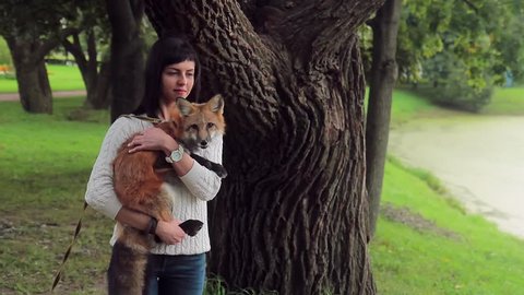 Attractive Lady Holding Fox Standing Green Stock Footage Video (100% ...
