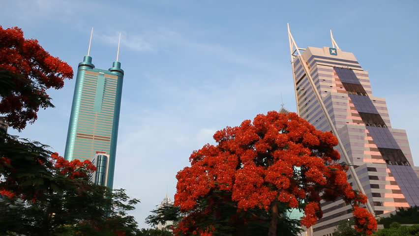 Shenzhen, Sez, China, Beautiful Red Stock Footage Video (100% Royalty ...