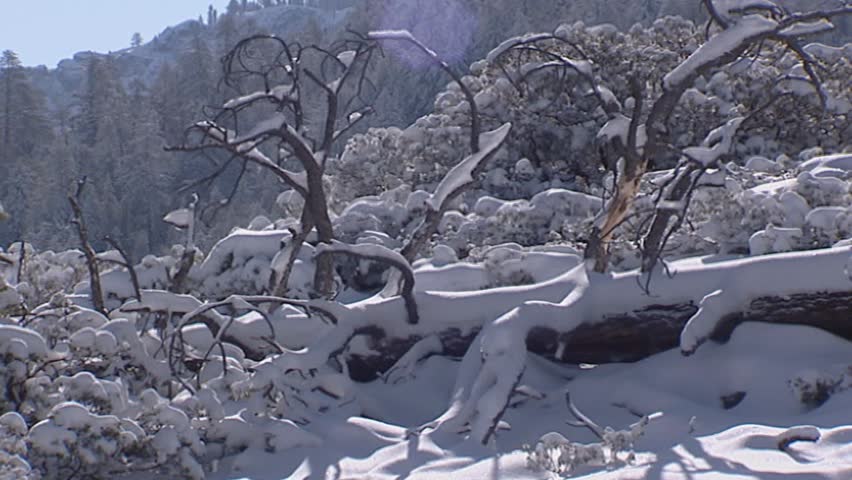 Thick Layer of Snow On Stock Footage Video (100% Royalty-free) 2973736 ...