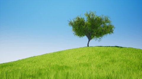 Tree Lawn On Background Clear Sky Stock Footage Video (100% Royalty ...