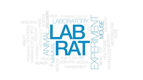 Lab Rat Animated Word Cloud Text Stock Footage Video (100% Royalty-free ...