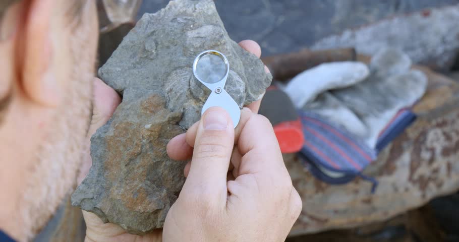 Paleontologist Working in the Field Stock Footage Video (100% Royalty ...