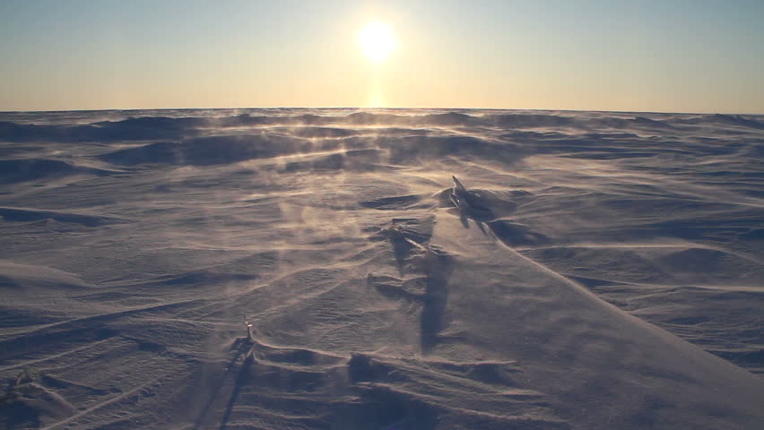 arctic blizzard snow storm polar winter Stock Footage Video (100% ...