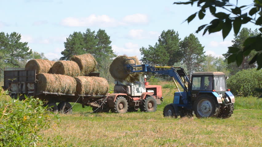 Harvesting Hay. Tractor Loading Hay Stock Footage Video (100% Royalty ...