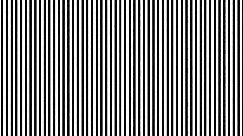 zebra line movement animation background seamless Stock Footage Video ...