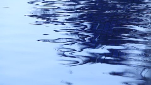 Tree Shadow Reflection Stock Footage Video (100% Royalty-free) 30105052 ...