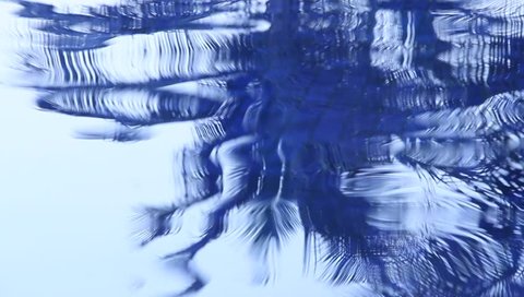 Tree Shadow Reflection Stock Footage Video (100% Royalty-free) 30105064 ...