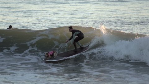 Stock Video Portfolio by Paul Topp | Shutterstock