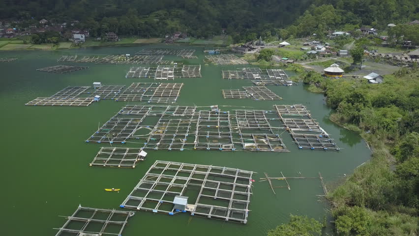 Crab Farming Stock Video Footage - 4K and HD Video Clips | Shutterstock