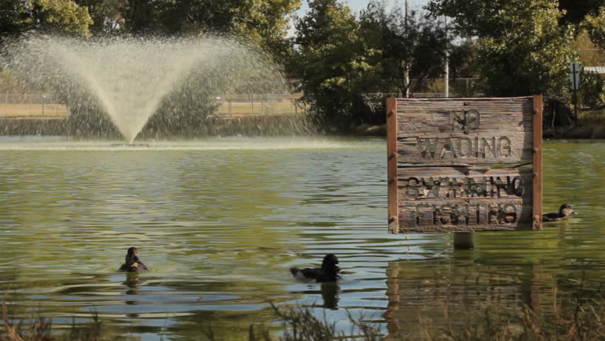 Warning Sign On Pond - Stock Footage Video (100% Royalty-free) 3019822 ...