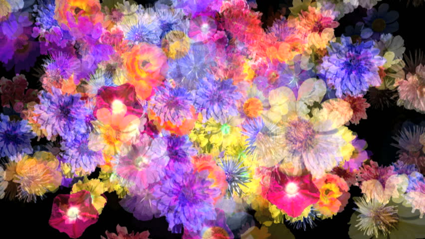 Flowers Motion Background. 3d Animation Stock Footage Video (100% ...