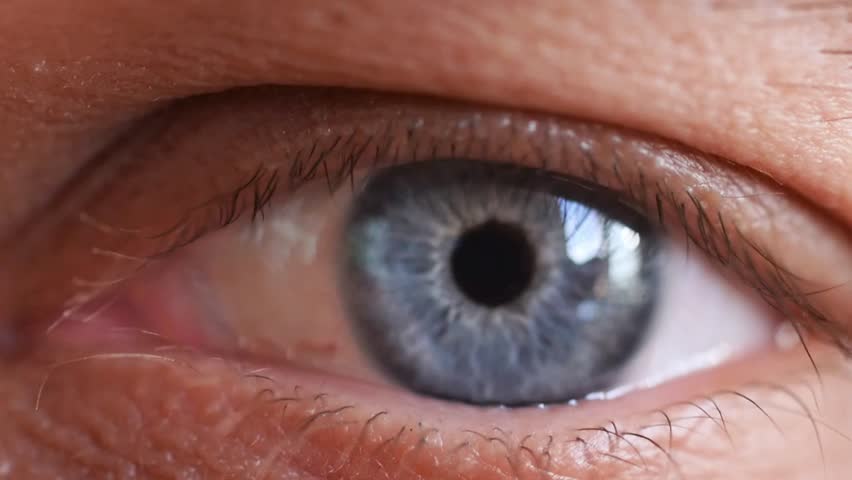 close human eye opening iris contracting Stock Footage Video (100% ...