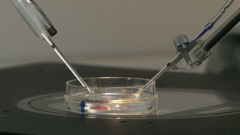 Cell Manipulation Genetics Laboratory Stock Footage Video (100% Royalty ...