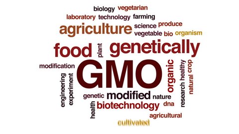 Gmo Animated Word Cloud Text Design Stock Footage Video (100% Royalty ...