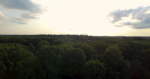 Sunset Reveal Shot Forest Flare Trough Stock Footage Video (100% ...