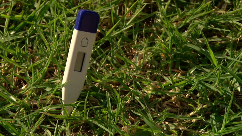 Green Grass.thermometer Checking Earths Temperature, Stock Footage ...