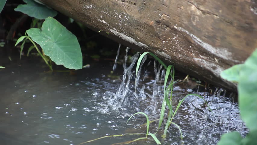 Traditional Rice Paddy Irrigation Water Stock Footage Video (100% ...