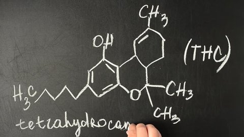 Mathematician Pointer Theorem Proof Stationery Toolscomplex Stock Vector (Royalty Free ...